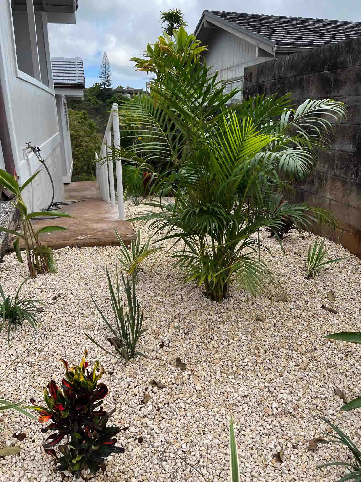 Hawaii Landscaping Ideas - Landscaping Oahu | Tree Service Oahu, Hawaii